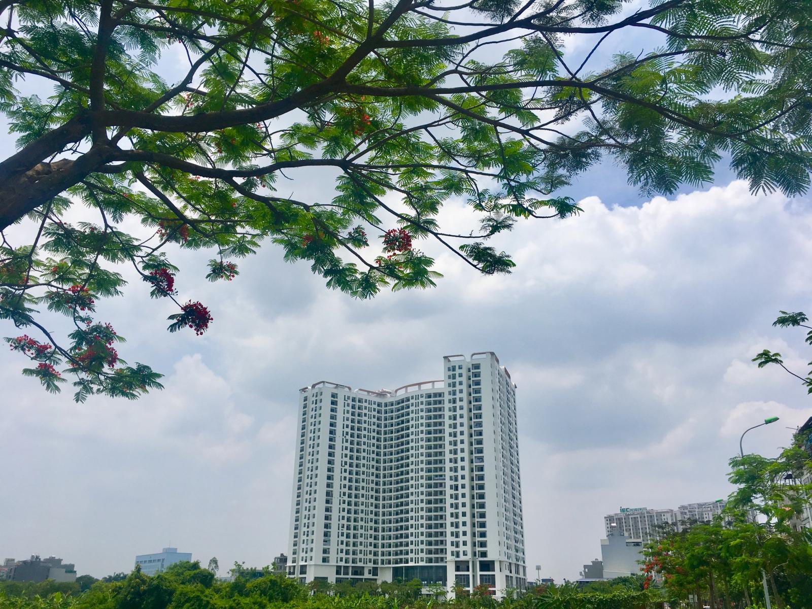 Tecco Diamond mở bán quỹ căn Ngoại Giao cuối cùng với giá ưu đãi tốt ...